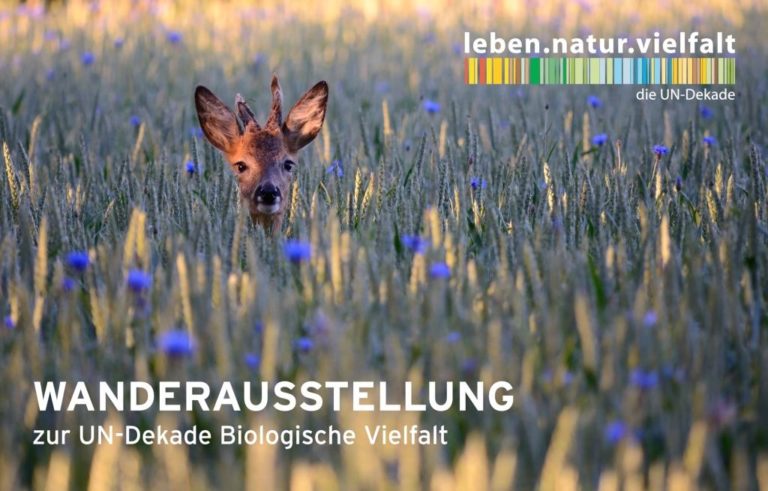 leben.natur.vielfalt. – Ausstellung zeigt Schönheit von Biodiversität leben.natur.vielfalt. – Ausstellung zeigt Schönheit von Biodiversität