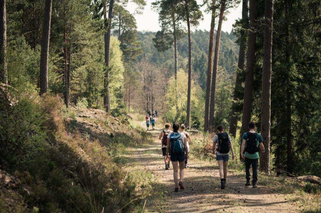 Uni-Villa-Wanderung der RPTU findet am 29. April statt Uni-Villa-Wanderung der RPTU findet am 29. April statt